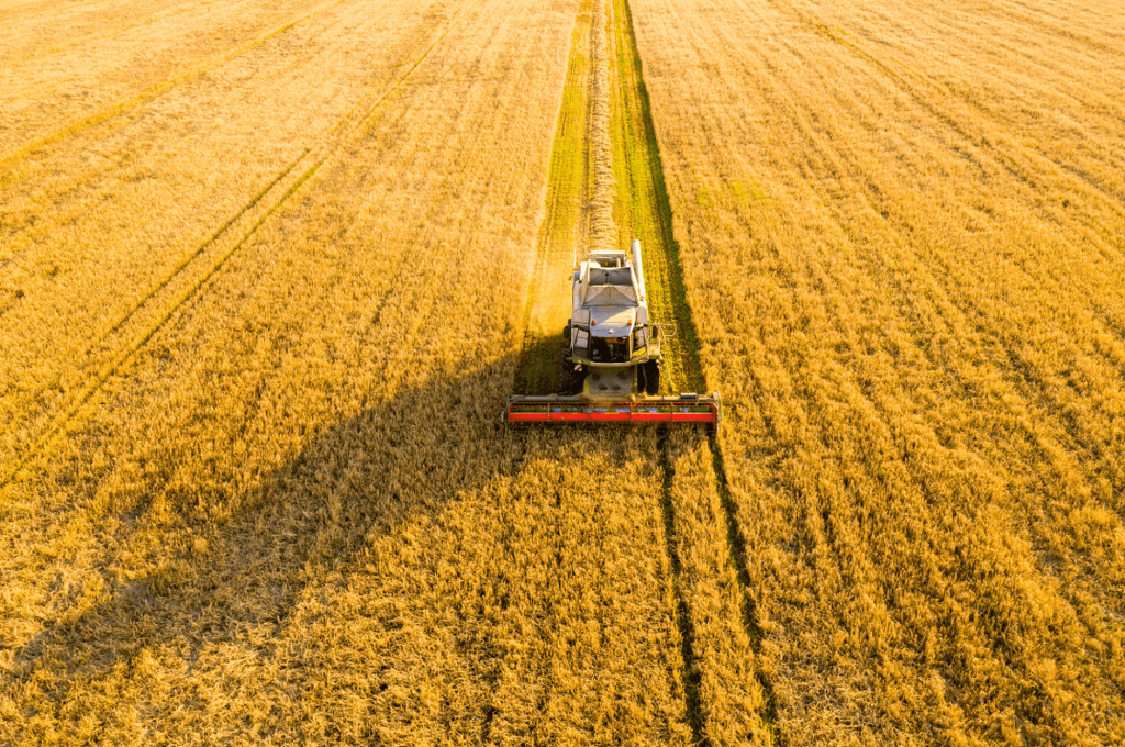 AI Data Curation For Agriculture | Curation AI