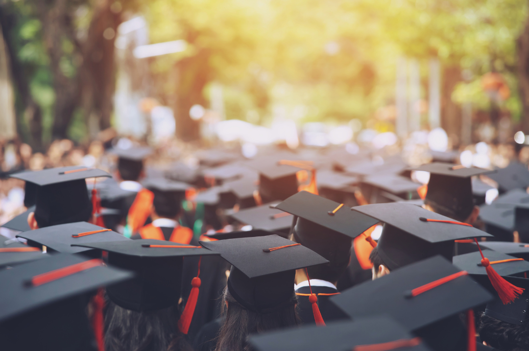 University AI Data Curation | Curation AI